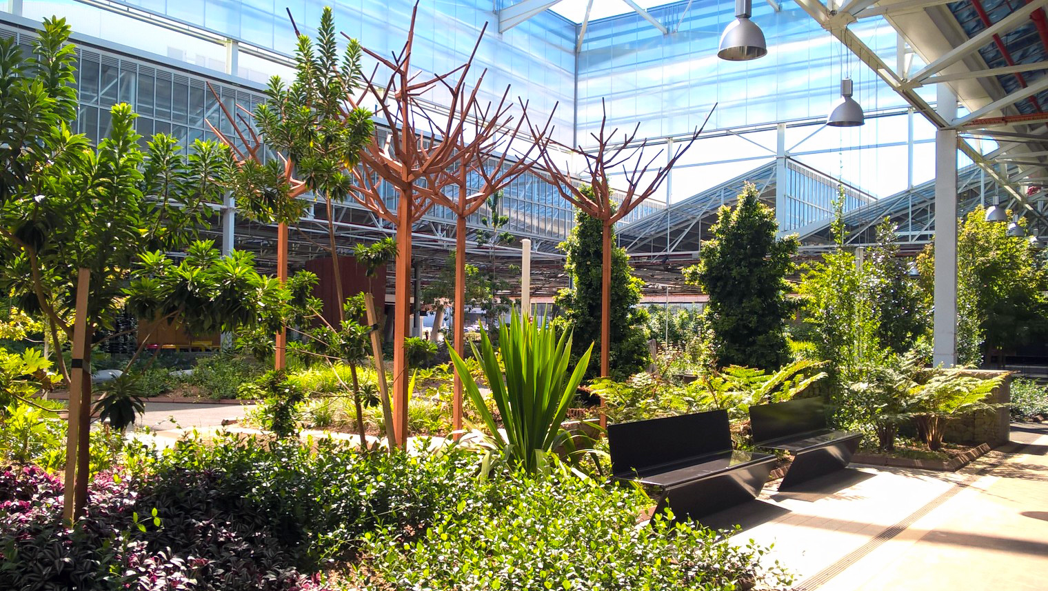 Tonsley Innovation District Urban Design and Public Spaces Receives ...