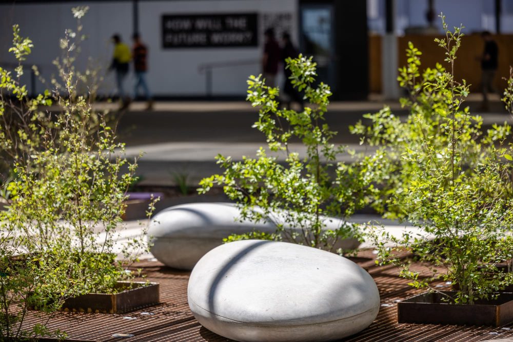 Tonsley drives towards a greener future with new MAB forest - Tonsley