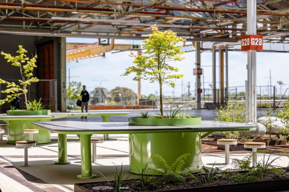 Tonsley drives towards a greener future with new MAB forest - Tonsley