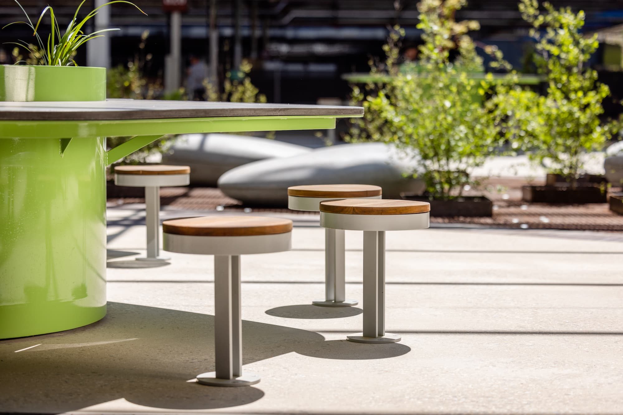 Tonsley drives towards a greener future with new MAB forest - Tonsley