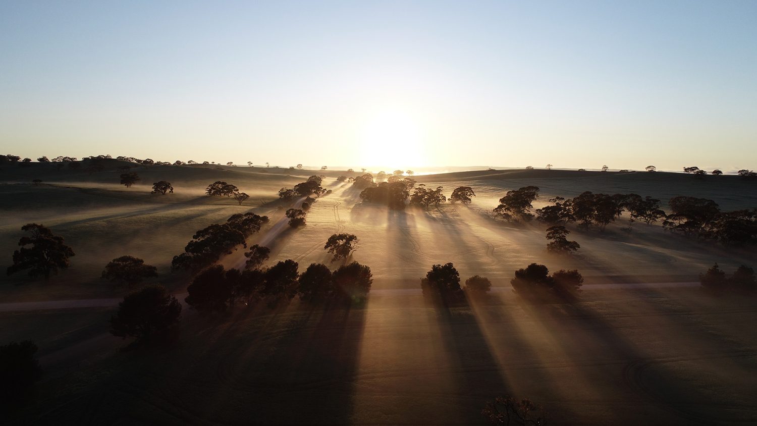 Our Community - Tonsley