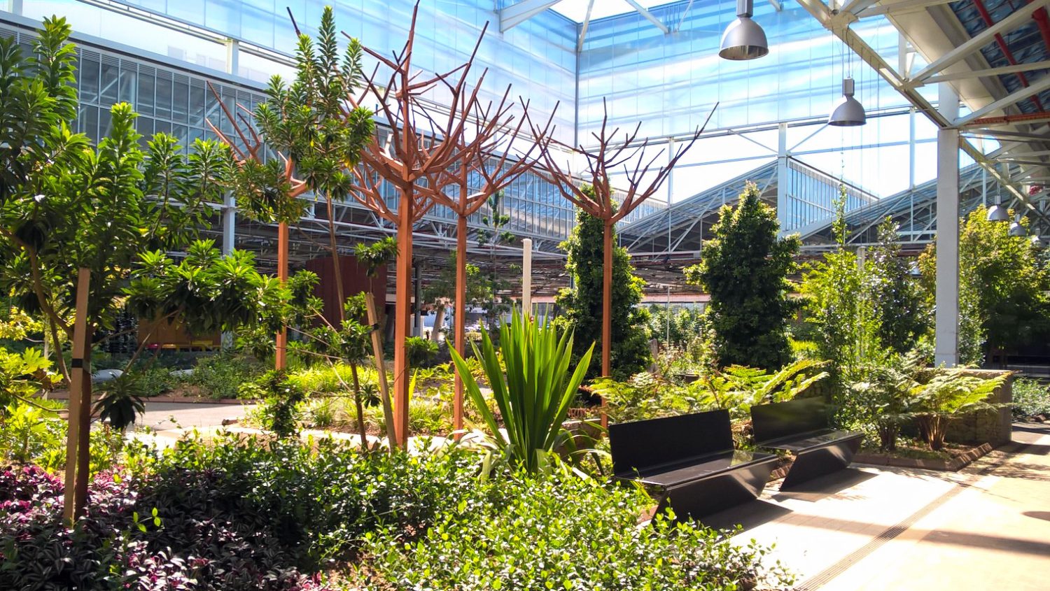 Tonsley precinct under the sustainability spotlight - Tonsley